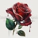 Red Rose Clipart, 10 High Quality Jpgs, Botanical Art, Instant Digital ...