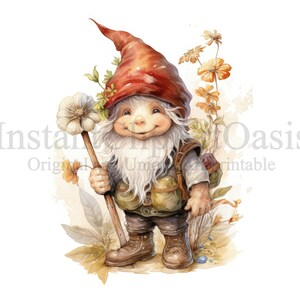 Fancy Gnomes Clipart, 10 High Quality Jpgs, Nursery Art, Digital ...