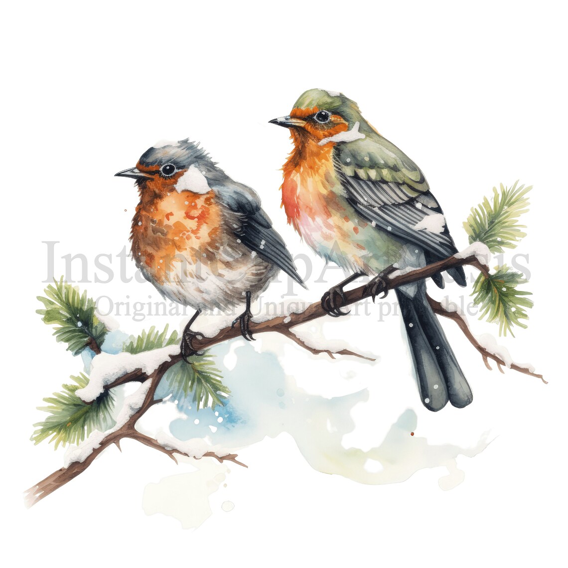 Winter Robins Clipart, 10 High Quality Pngs, Instant Digital Download ...