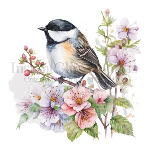 Chickadee Clipart, 10 High Quality Pngs, Nursery Art, Digital Download ...