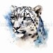 Snow Leopard Clipart, 10 High Quality Jpgs, Nursery Art, Instant ...