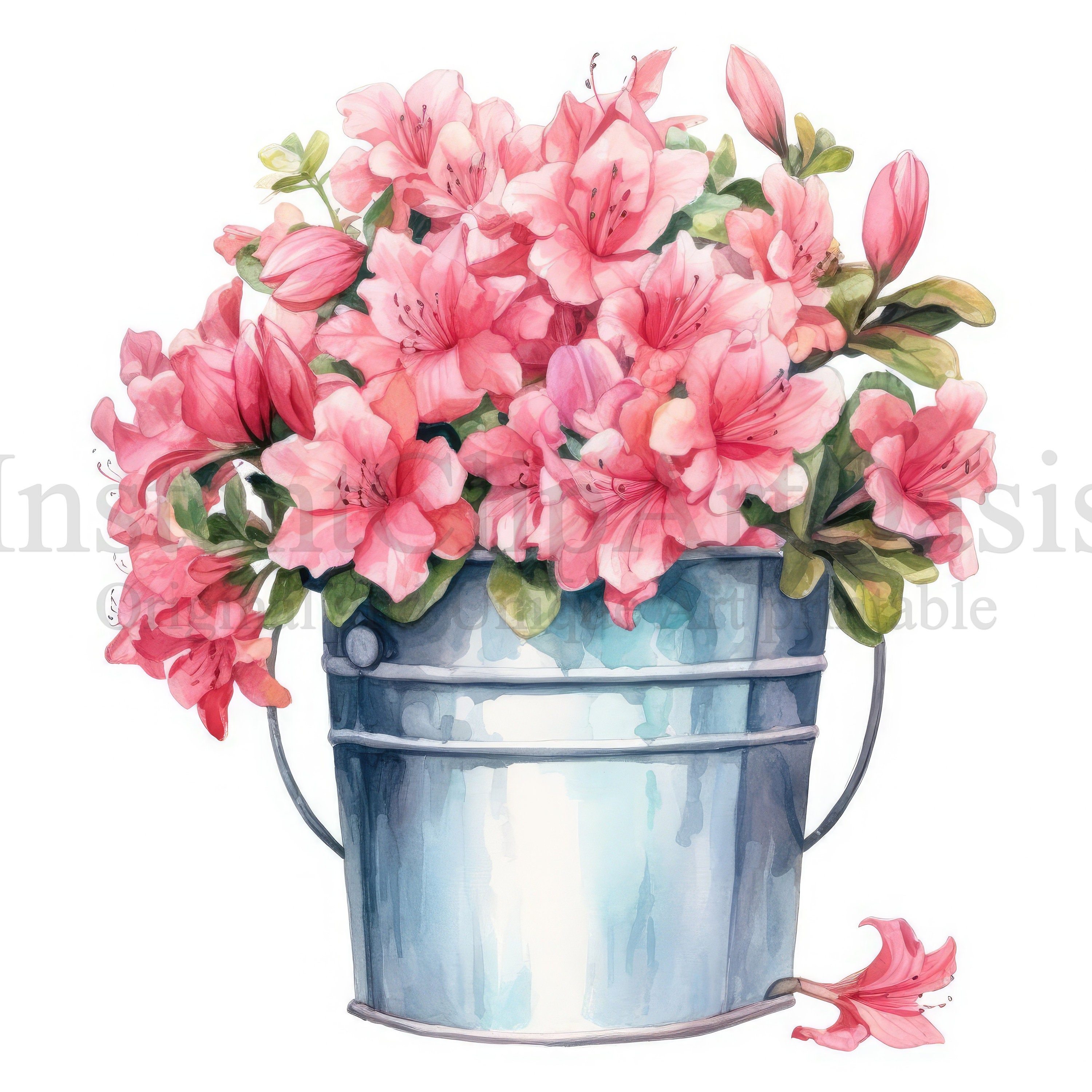 Azalea Bucket Clipart, 13 High Quality Jpgs, Card Making, Azalea Clip ...