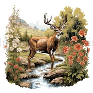 Vintage Deers Clipart, 10 High Quality Jpgs, Digital Download, Vintage ...