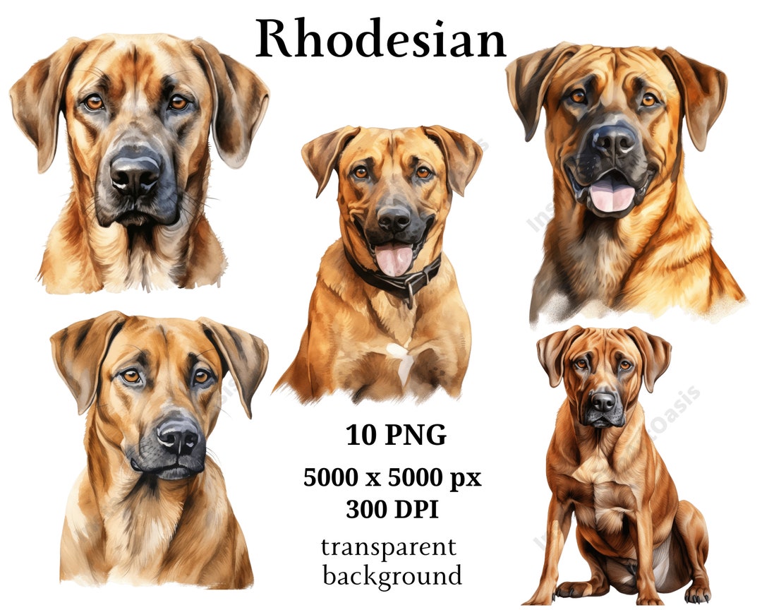 Rhodesian Clipart, 10 High Quality Pngs, Nursery, Digital Planner ...