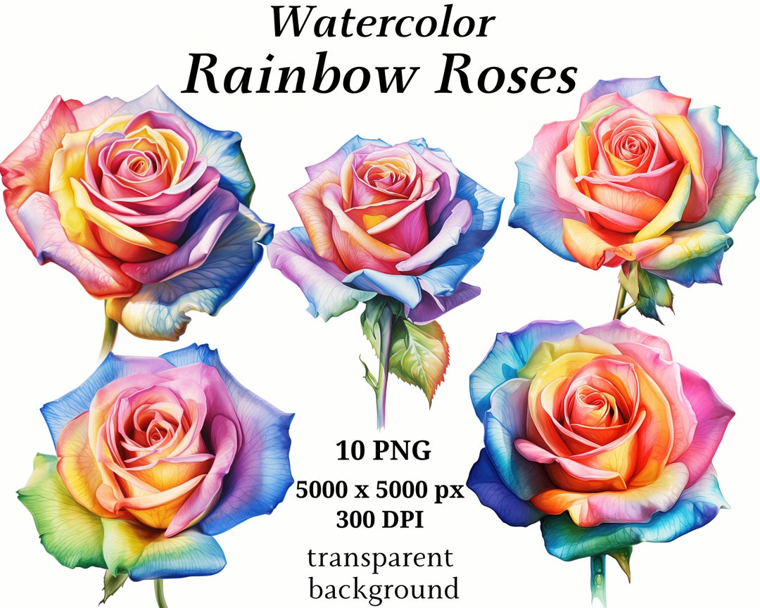 Rainbow Roses Clipart - 10 High Quality Pngs, Botanical Clipart ...