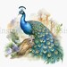 Peacock Clipart, 10 High Quality Jpgs, Nursery Art, Digital Download ...