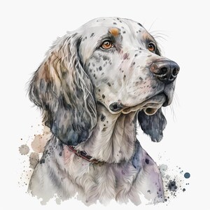 English Setter Clipart, 10 High Quality Jpgs, Nursery Art, Digital ...