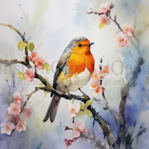 Spring Robin Clipart, 10 High Quality Jpgs, Nursery Art, Instant ...