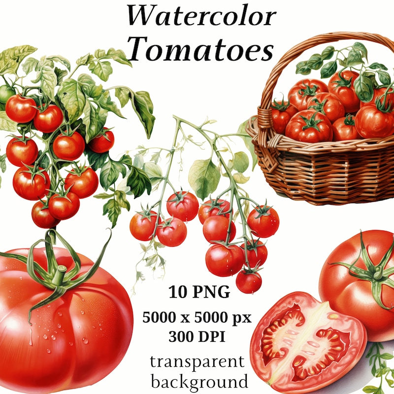 Tomato Paintings - Etsy