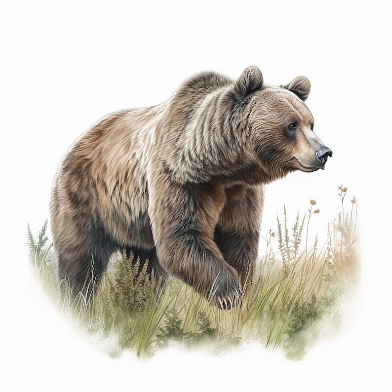 Grizzly Bear Clipart 10 High Quality Jpgs Nursery Art Card - Etsy