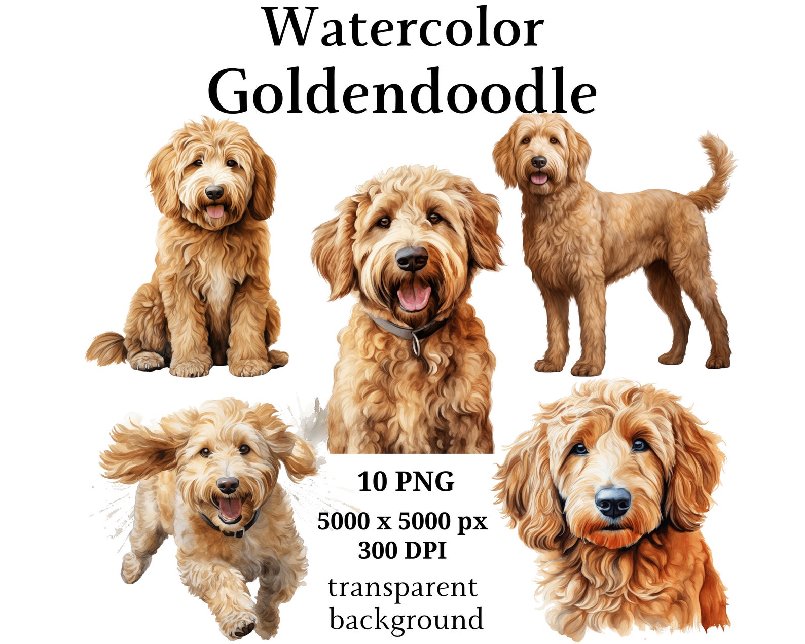 Goldendoodle Clipart - 10 High Quality Pngs, Digital Planner ...