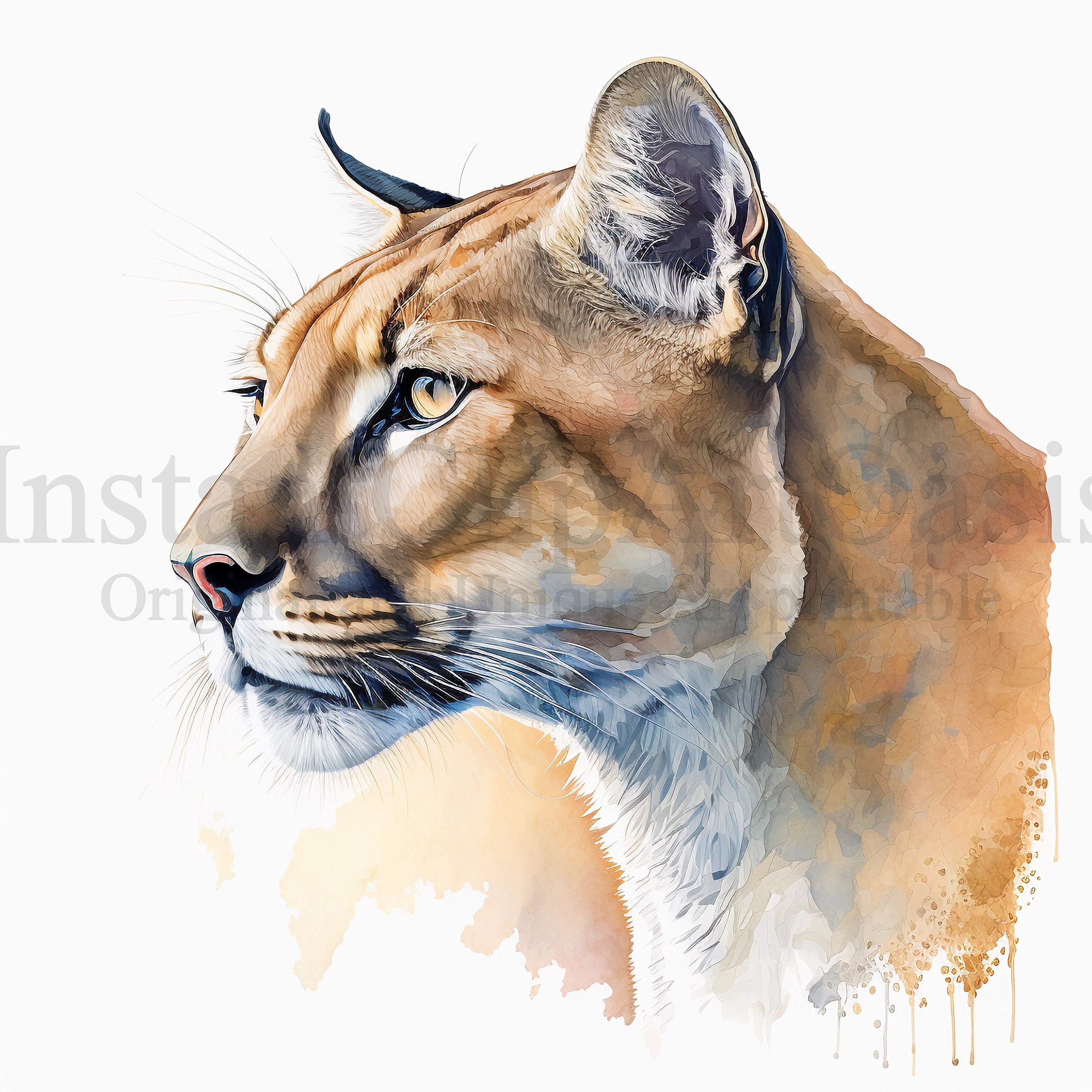 Cougar Clipart, 10 High Quality Jpgs, Nursery Art, Instant Digital ...