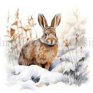 Winter Rabbits Clipart, 10 High Quality Jpgs, Digital Planners, Junk ...