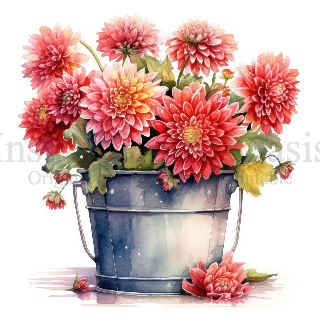 Dahlias Bucket Clipart, 12 High Quality Jpgs, Card Making, Dahlias Clip ...