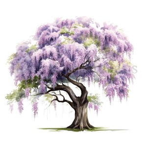 Wisteria Trees Clipart - 10 High Quality Pngs, Botanical Art, Digital ...