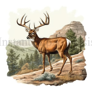 Vintage Deers Clipart, 10 High Quality Jpgs, Digital Download, Vintage ...