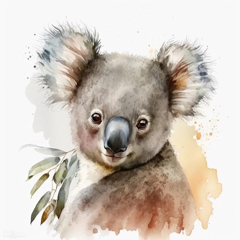 Koala Clipart 10 High Quality Jpgs Nursery Art Card - Etsy