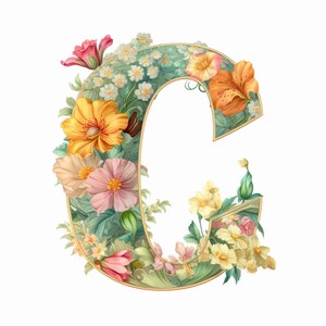 Letter C Clipart, 10 High Quality Jpgs, Nursery Art, Instant Digital ...