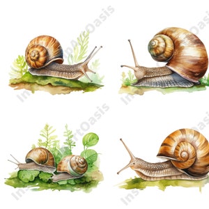 Watercolor Snails Clipart, 10 High Quality Pngs, Digital Download ...