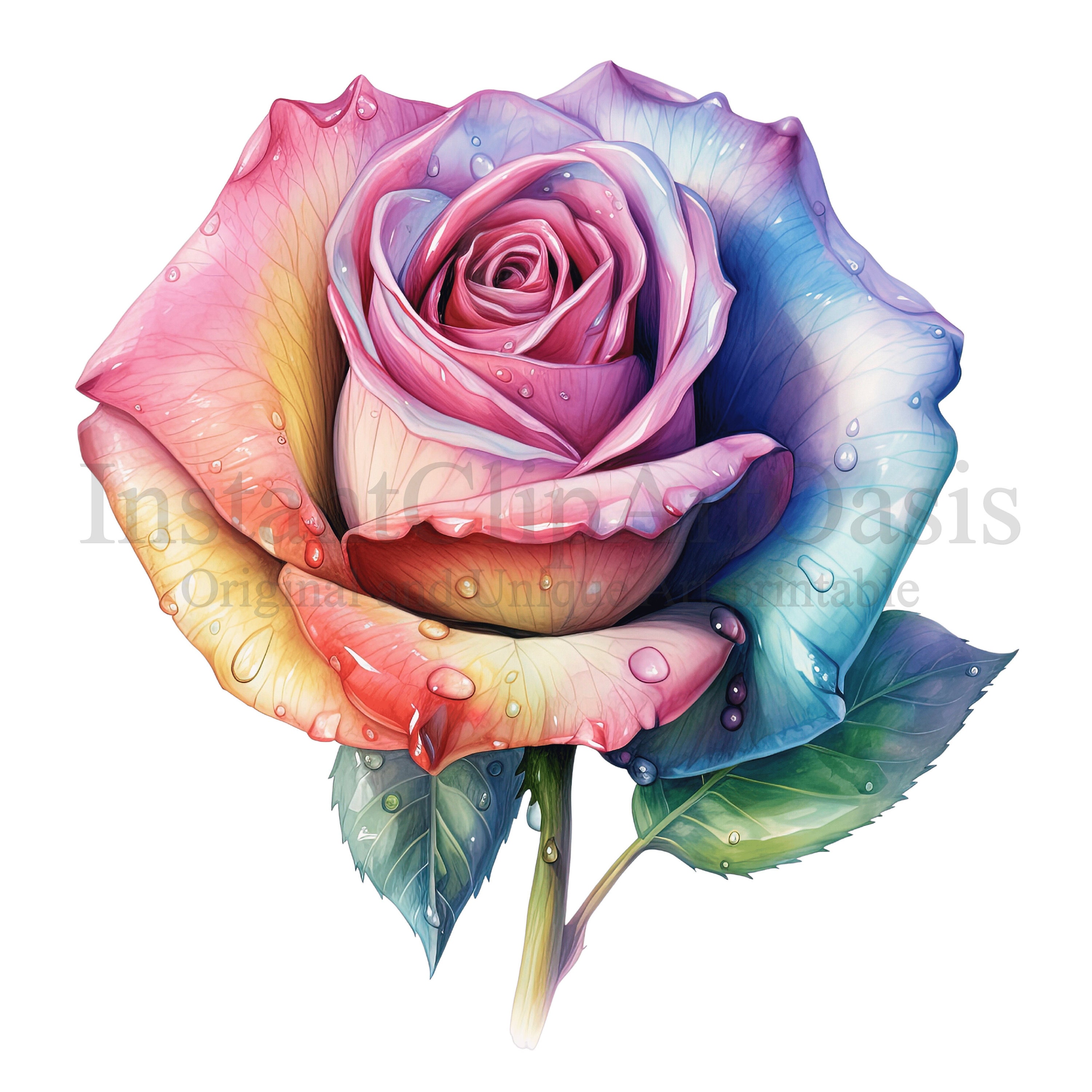 Rainbow Roses Clipart - 10 High Quality Pngs, Botanical Clipart ...