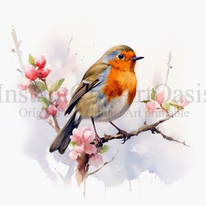 Spring Robin Clipart, 10 High Quality Jpgs, Nursery Art, Instant ...