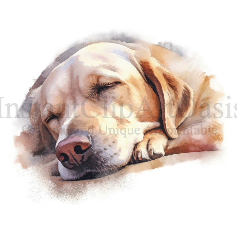 Sleeping Labrador Clipart, 10 High Quality Jpgs, Nursery Art, Digital ...