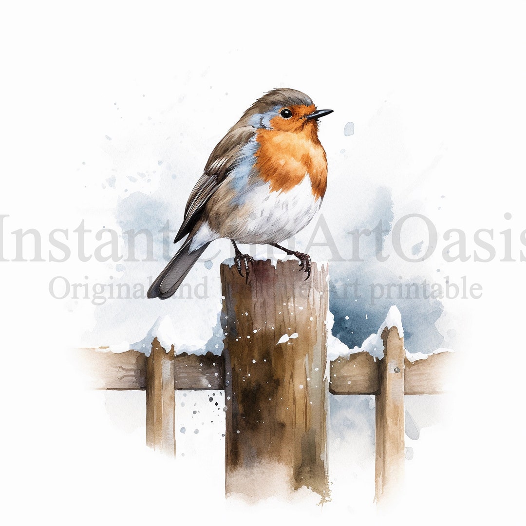 Winter Robin Clipart, 10 High Quality Jpgs, Nursery Art, Instant ...