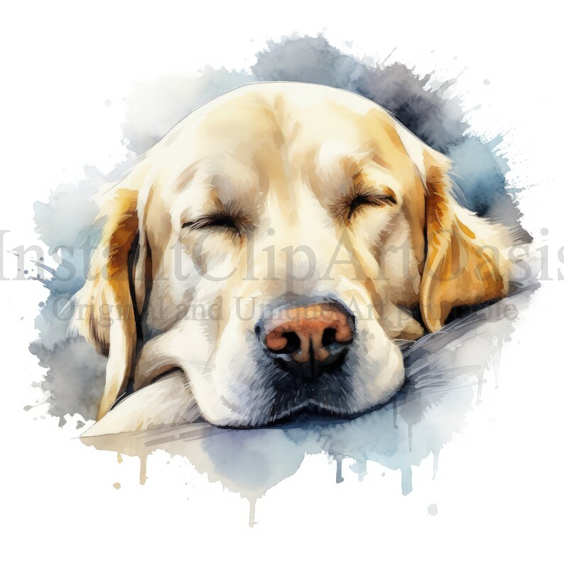 Sleeping Labrador Clipart, 10 High Quality Jpgs, Nursery Art, Digital ...