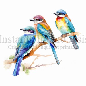 Colorful Birds Clipart, 10 High Quality Jpgs, Nursery Art, Instant ...