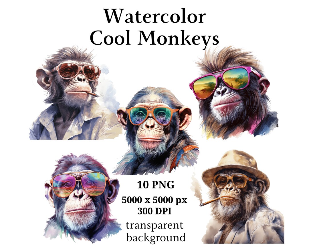 Cool Monkeys Clipart, 10 High Quality Pngs, Nursery Art, Digital ...