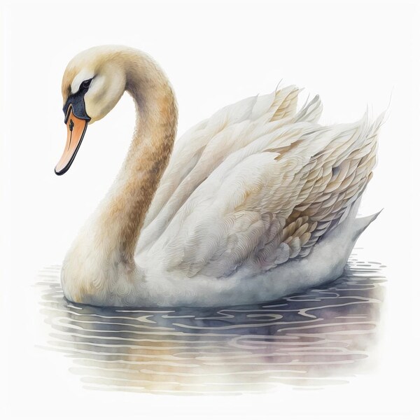 Swan Clip Art - Etsy