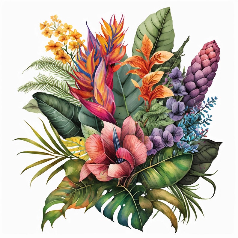 Tropical Flowers Clipart 10 High Quality Jpgs Botanical Art - Etsy