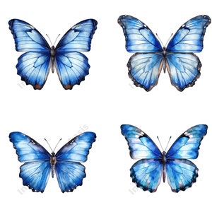 Blue Morpho Butterfly Clipart, 16 High Quality Pngs, Nursery Art | Card ...