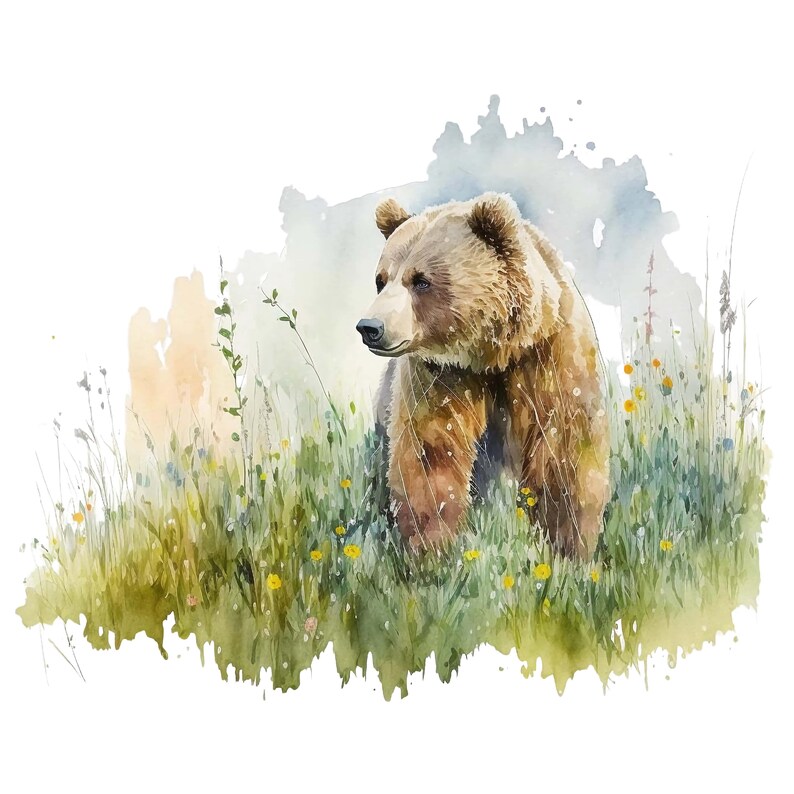 Bear in a Meadow Clipart, 9 High Quality Pngs, Digital Download, Card ...