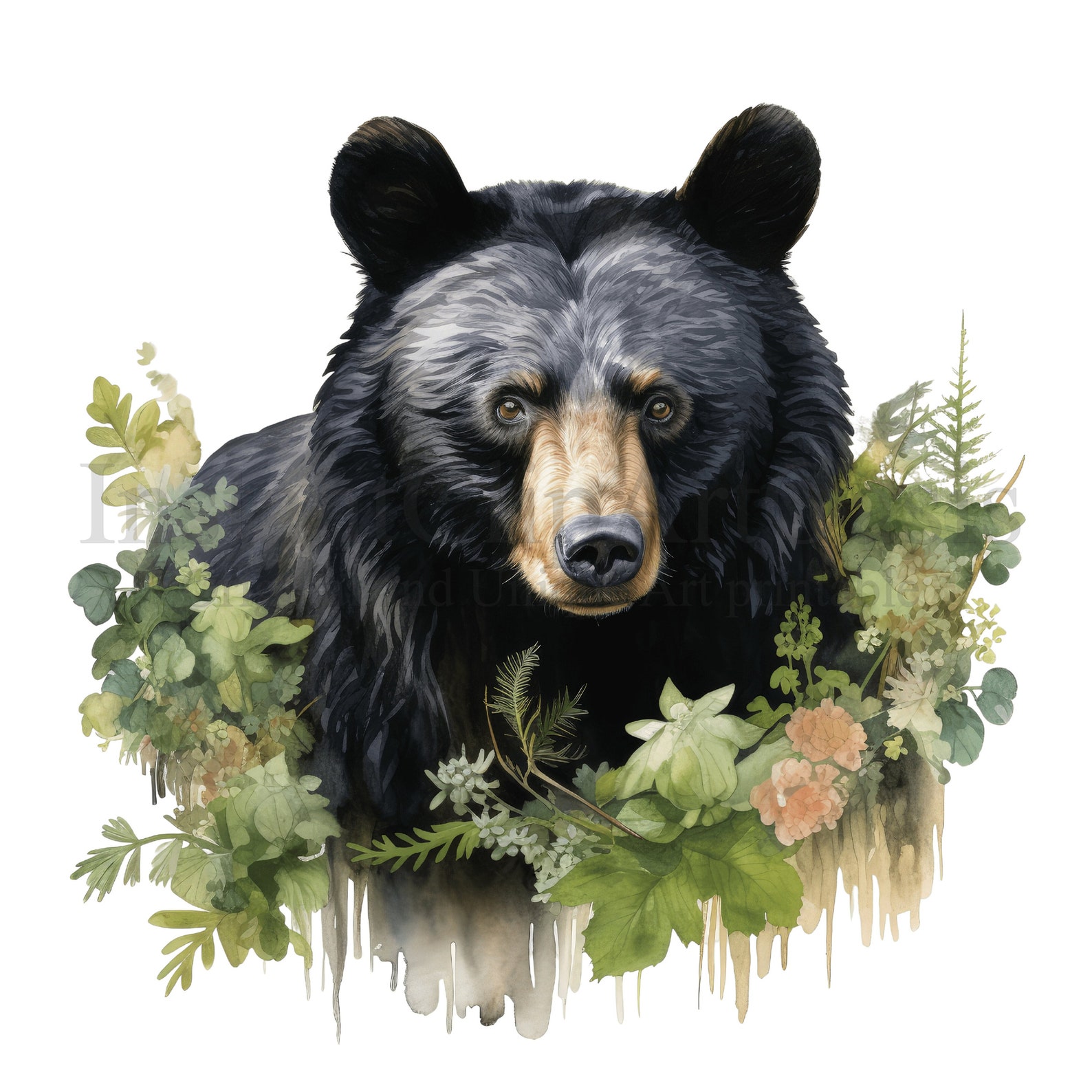 Watercolor Black Bear Clipart, 10 High Quality Pngs, Nursery Art | Card ...