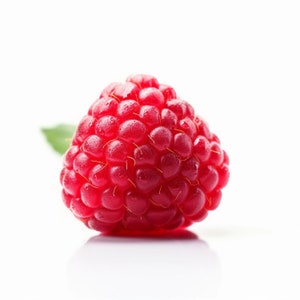 Raspberries Clipart, 10 High Quality Jpgs, Nursery Art | Card Making ...