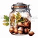 Acorns Jar Clipart, 10 High Quality Jpgs, Vintage Art, Digital Download ...