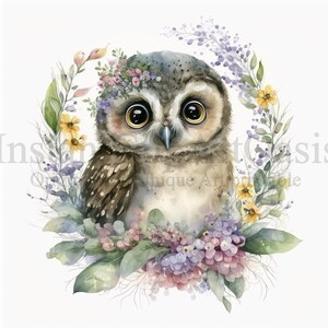 Floral Owls Clipart, 10 High Quality Jpgs, Nursery Art, Digital Planner ...