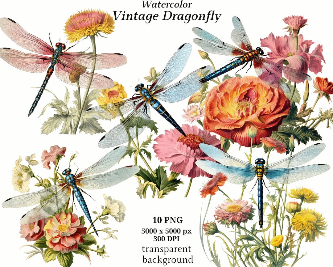 Vintage Dragonfly Clipart, 10 High Quality Pngs, Instant Digital ...
