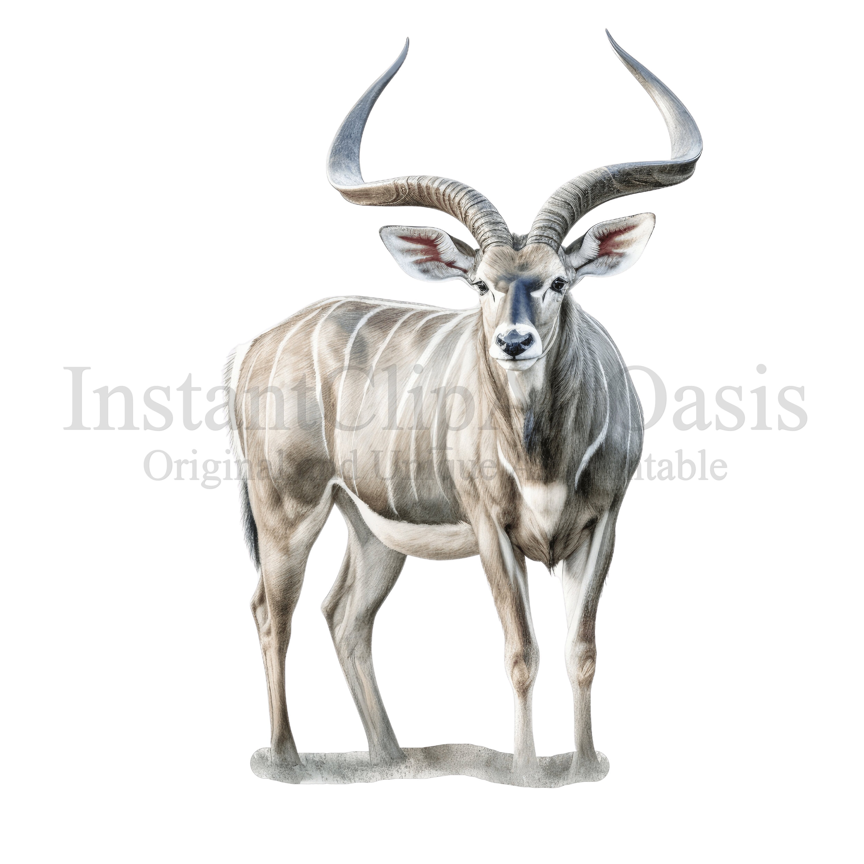 Great Kudu Clipart, 7 High Quality Pngs Transparent Background, Nursery ...