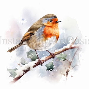 Winter Robin Clipart, 10 High Quality Jpgs, Nursery Art, Instant ...