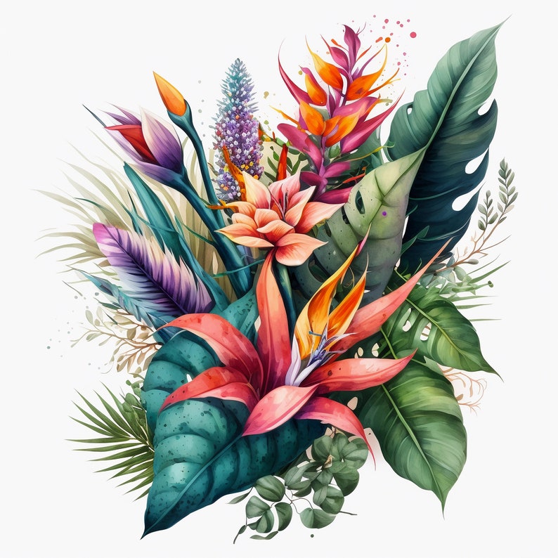 Tropical Flowers Clipart 10 High Quality Jpgs Botanical Art - Etsy