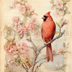 Red Cardinal Papers, 10 High Quality Jpgs, Vintage Illustration ...