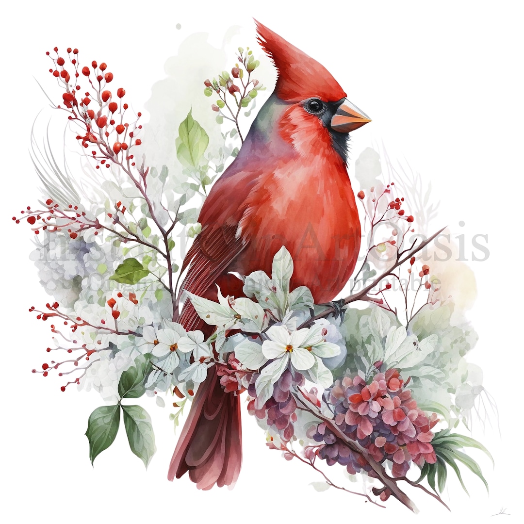 Red Cardinal Clipart, 10 High Quality Pngs, Nursery Art, Digital ...
