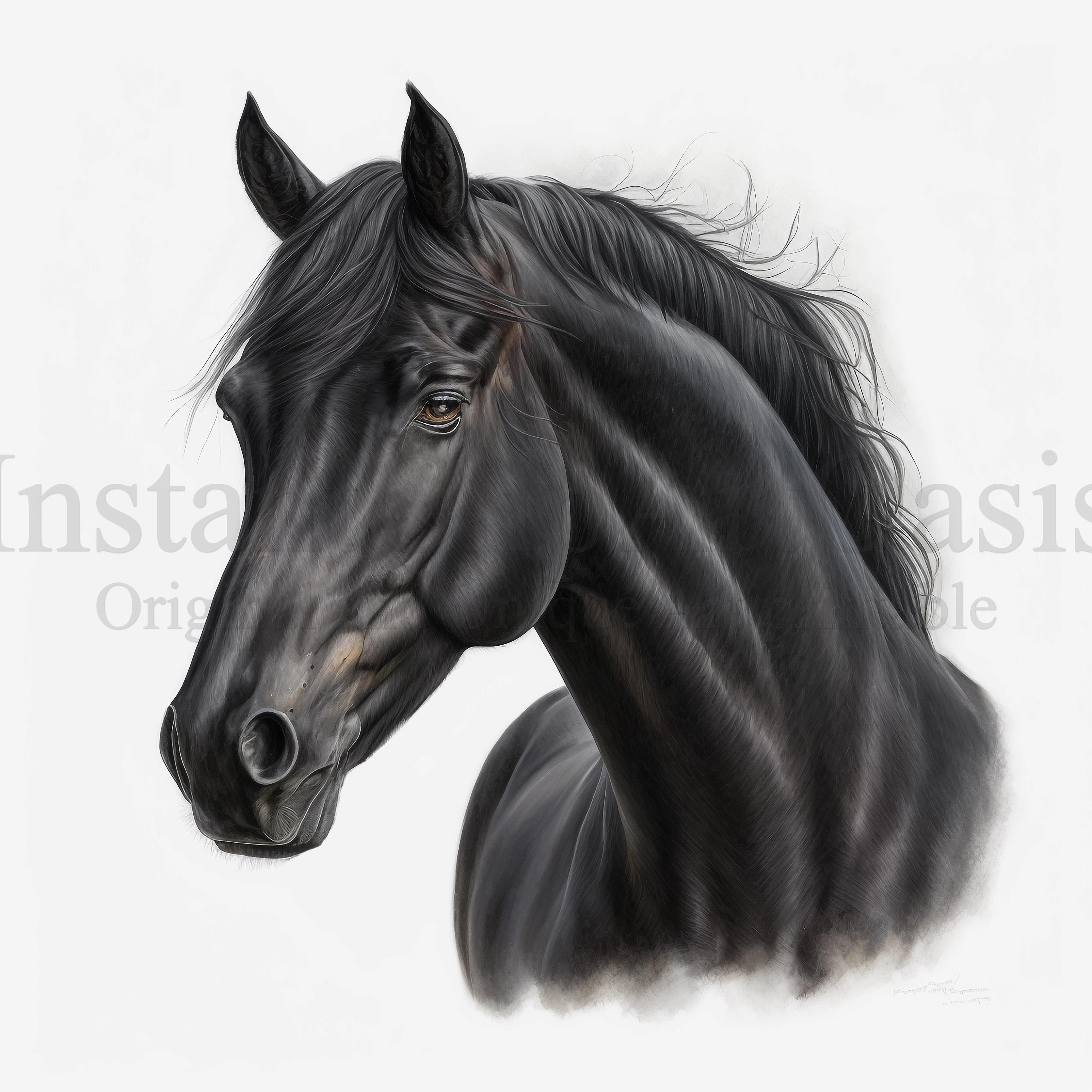 Schwarzes Pferd Clipart | Satz 2 | 10 hochwertige JPGs, Kindergarten ...