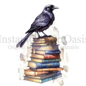 Crow on Books Clipart, 10 High Quality Jpgs, Digital Download | Card ...