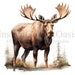 Moose Clipart, 10 High Quality Jpgs, Nursery Art, Digital Download ...