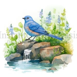 Spring Blue Bird Clipart, 10 High Quality Jpgs, Nursery Art, Instant ...