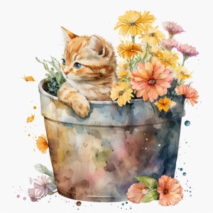 Cats in a Bucket Clipart, 9 High Quality Jpgs, Digital Download, Card ...