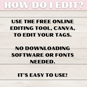 EDITABLE Teacher Appreciation Gift Tag, Staff Appreciation Gift Tag ...